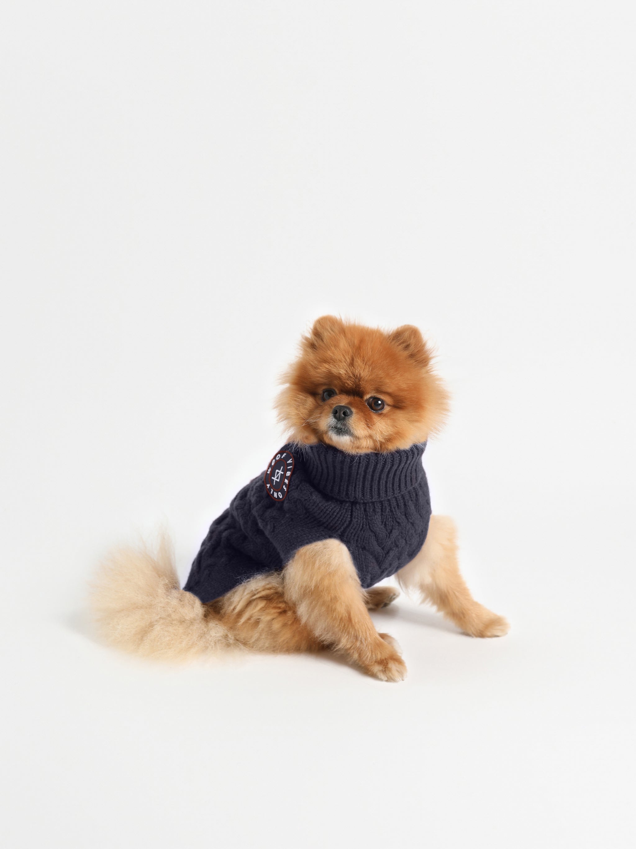 Soma Navy Blue Dog Sweater – Andiata – Andiata